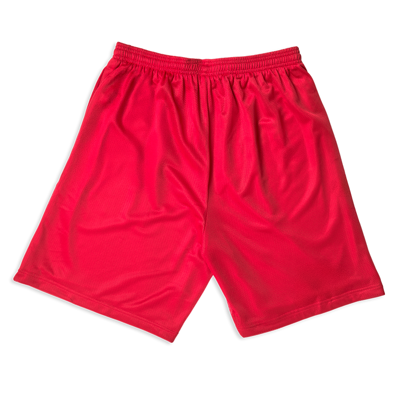 Hit Me Hard Mesh Shorts - Billie Eilish | Store